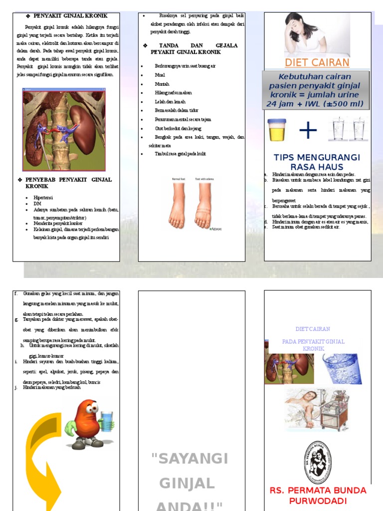 Leaflet HD Diet Cairan | PDF