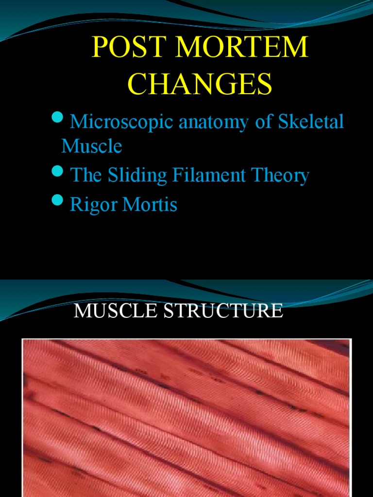 Post Mortem Changes: Microscopic Anatomy of Skeletal Muscle The Sliding Filament Theory Rigor ...