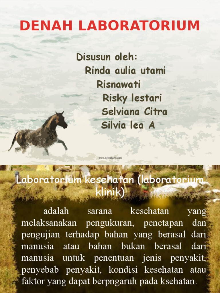 Denah Laboratorium | PDF