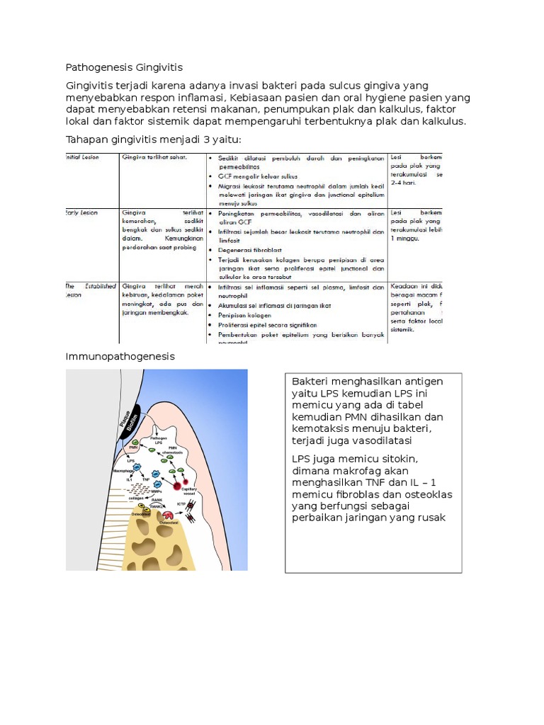 Pathogenesis Gingivitis | PDF