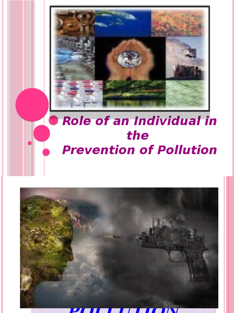 Role of An Individual in The Prevention of Pollution | PDF