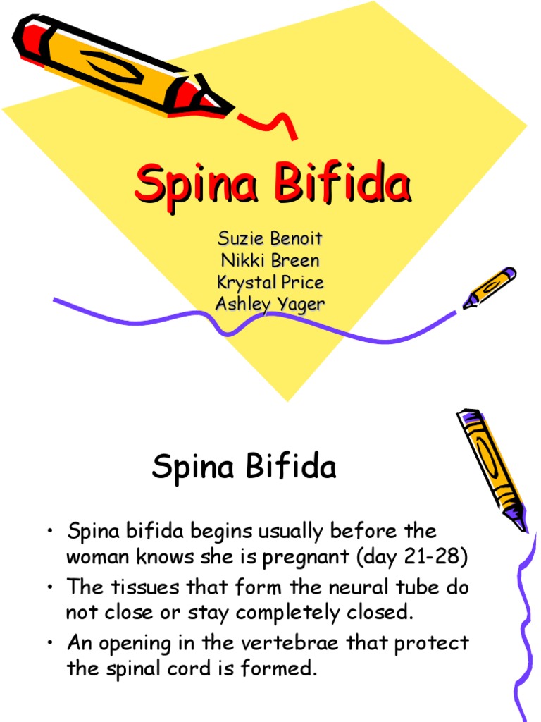 An In-Depth Look at Spina Bifida: Causes, Types, Prevention, Treatment ...