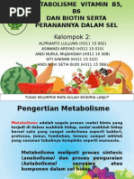 Contoh Nutrisi Parenteral Clinimix dan Kalbamin | PDF