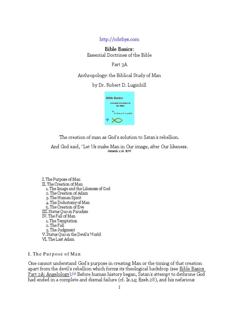 3A Anthro | PDF | Adam And Eve | Genesis Creation Narrative