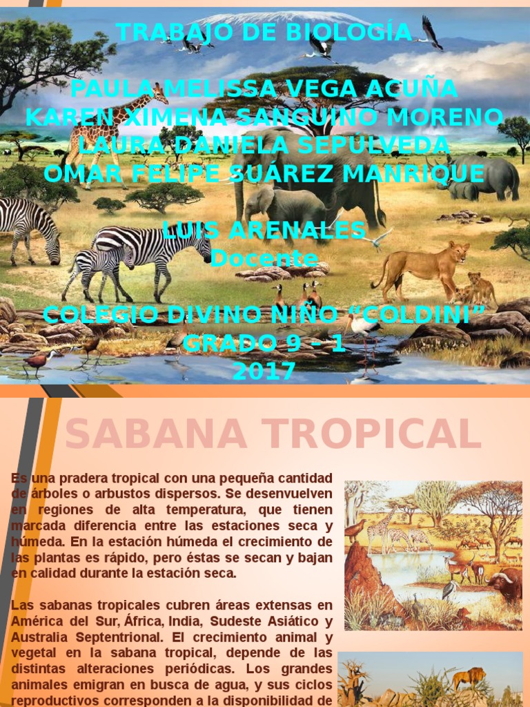 Sabana Tropical | Arboles | Zona tropical