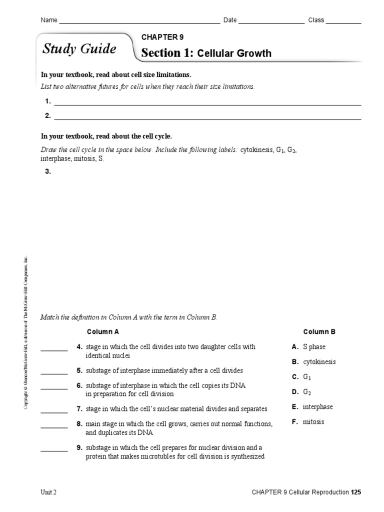 CH 9 Study Guide | PDF | Mitosis | Genetics