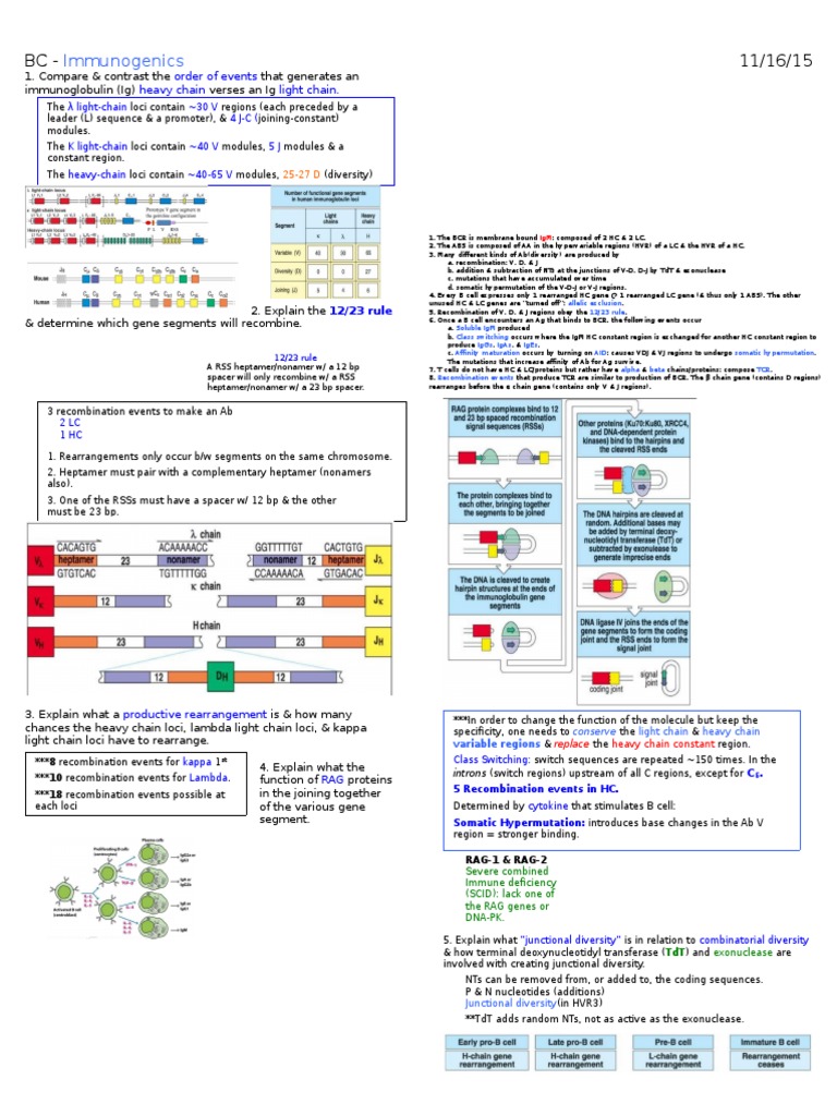 F1S1 Immunogenics | PDF | Antibody | B Cell