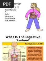 Digestive System Powerpoint Lecture | PDF | Digestion | Human Digestive ...
