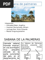 Sabana de Palmeras en Perú: Clima y Fauna | PDF | Clima | Suelo