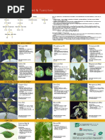 Yara Crop Nutrition Guide for Horticulture | PDF | Soil | Horticulture