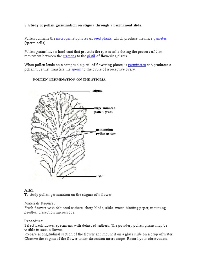 Experiment 2 | PDF | Pollen | Flowers