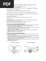 Class 12 Biology Experiment TS of Testes and LS of Ovary | PDF