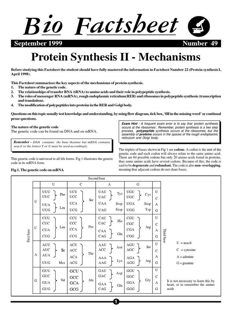 Protein Synthesis - Mechanisms | PDF | Translation (Biology) | Ribosome