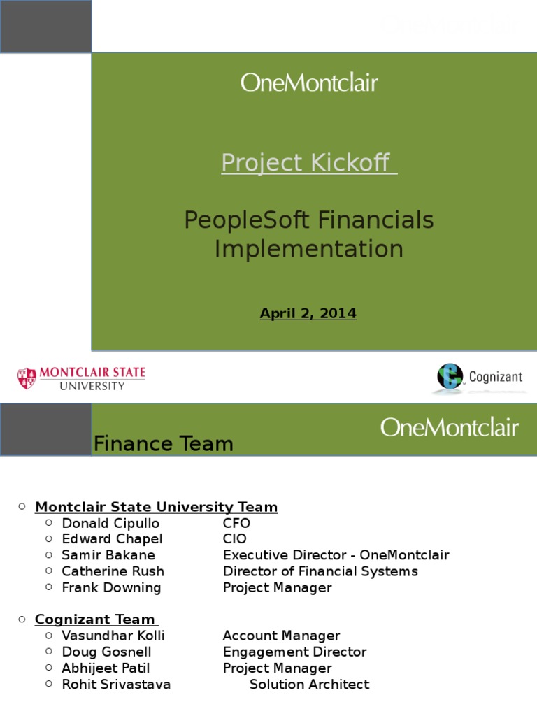 PeopleSoft Financials Implementation Plan | PDF | Business Process ...