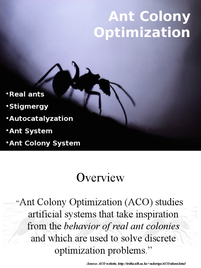 Ant Colony Optimization: An Exploration of Biologically-Inspired Algorithms for Discrete ...