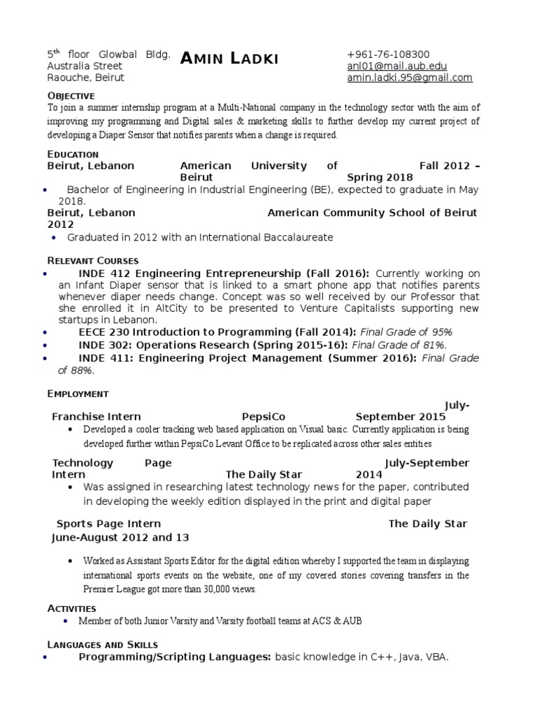 Amin Ladki CV | PDF | Computing | Software