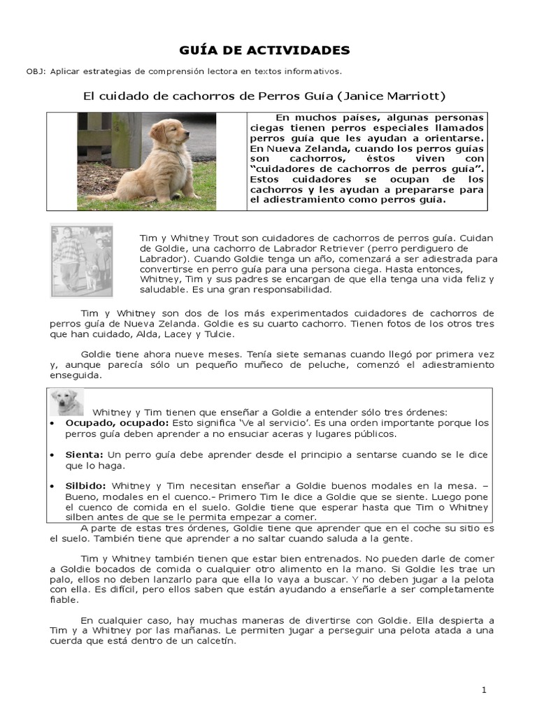 El Cuidado de Cachorros de Perros Guia 4 EP Texto Expositivo | Perros