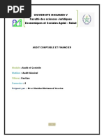Seuil de Signification | PDF | Capitaux propres | Audit