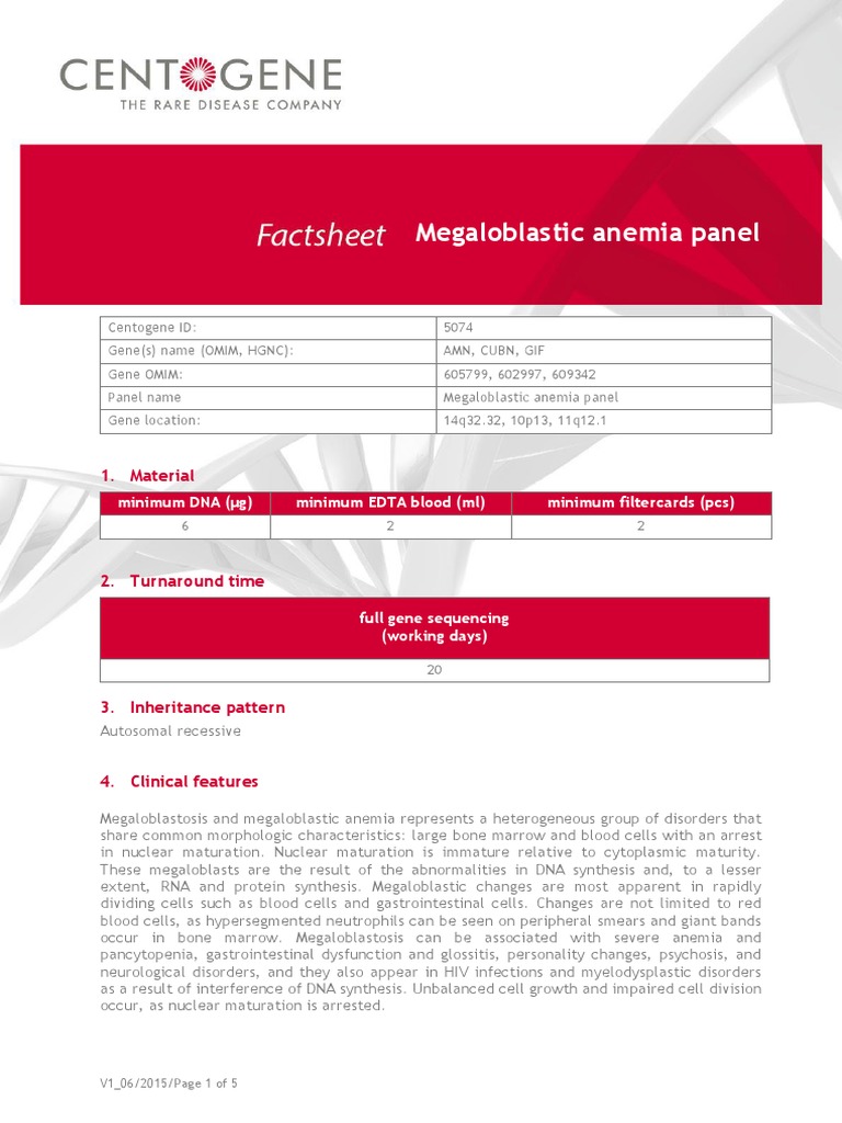 Megaloblastic Anemia Panel | Anemia | Vitamin B12