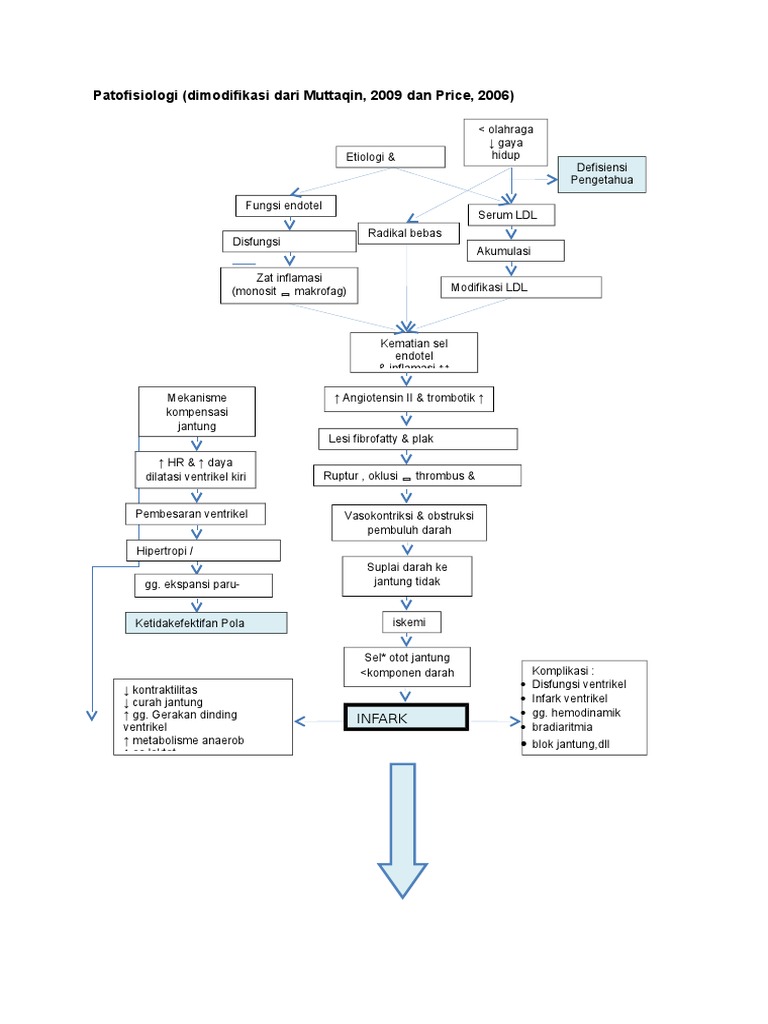 1a. Patofisiologi Stemi & Pci | PDF