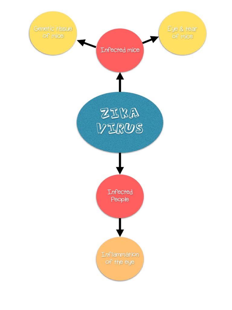 Ba Bio4 Mind Map | PDF