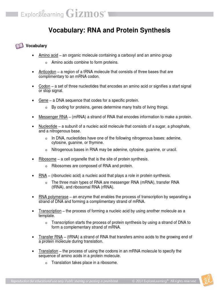 RNA and Protein Synthesis Vocabulary | PDF | Science & Mathematics ...