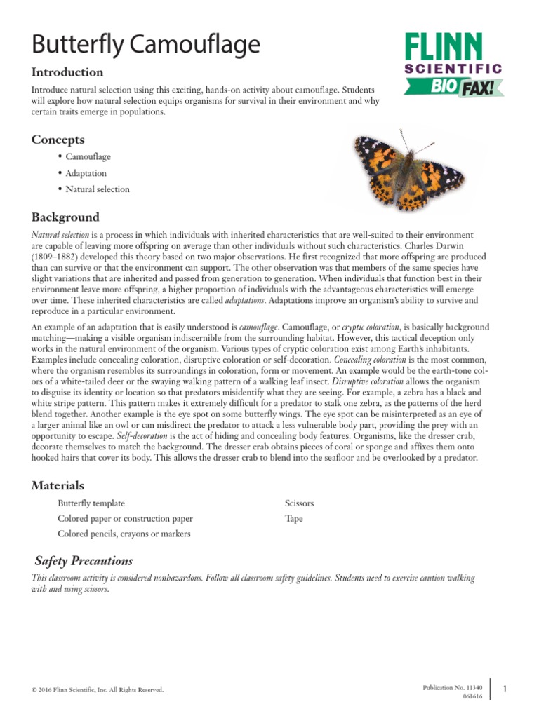 Butterfly | PDF | Camouflage | Adaptation