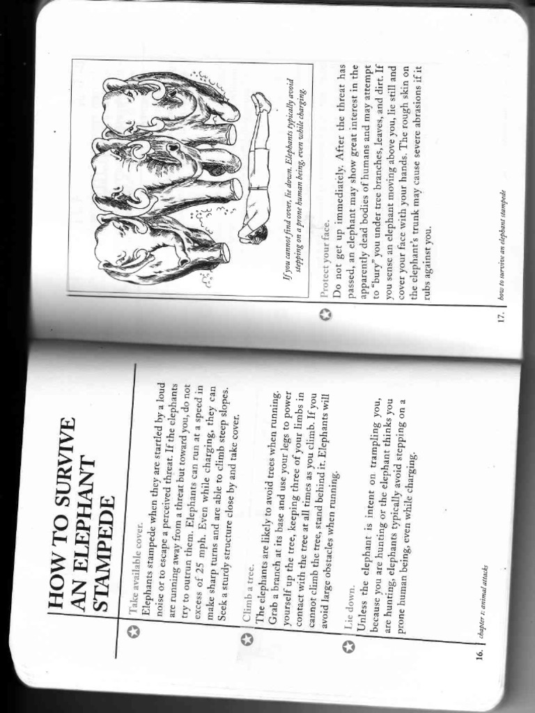 How To Survive | PDF