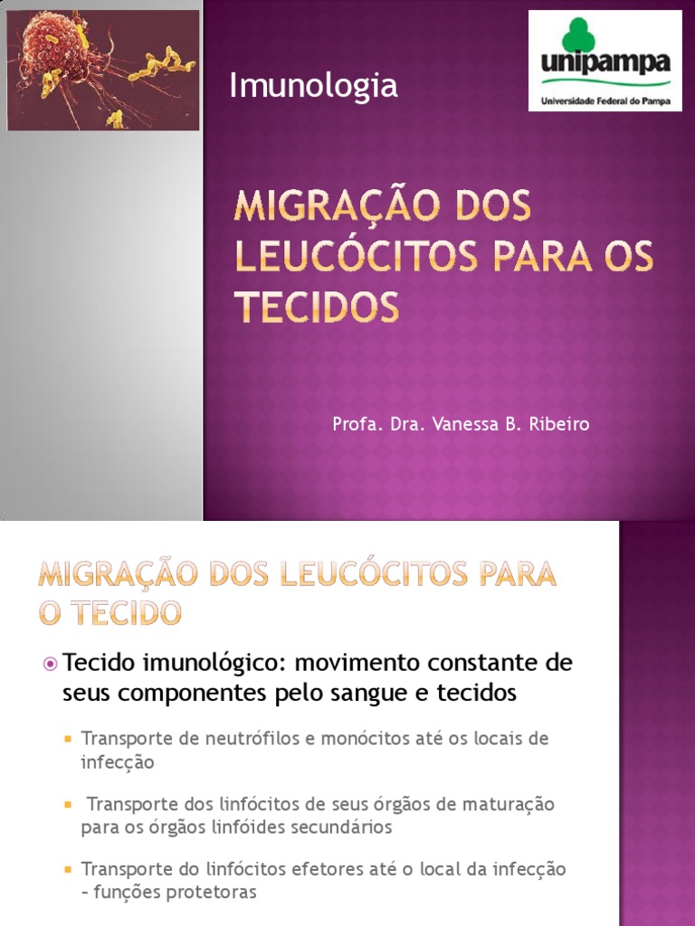 Mecanismos de migração celular no sistema imune: adesão, quimiotaxia e ...