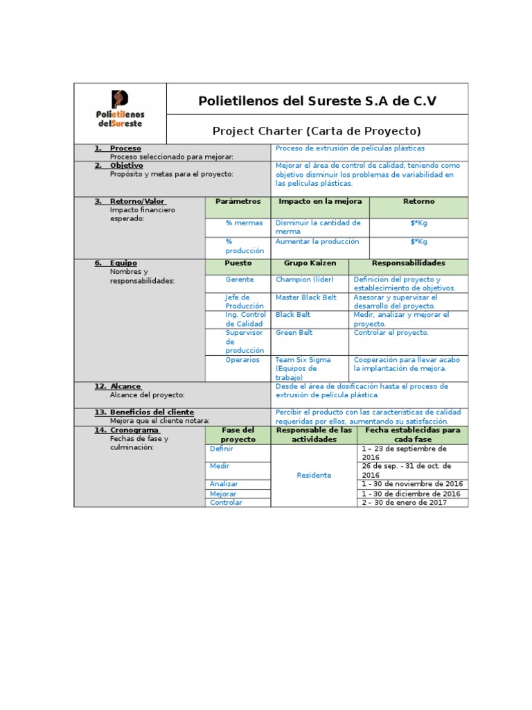 Carta de Proyecto | Six Sigma | Calidad (comercial)