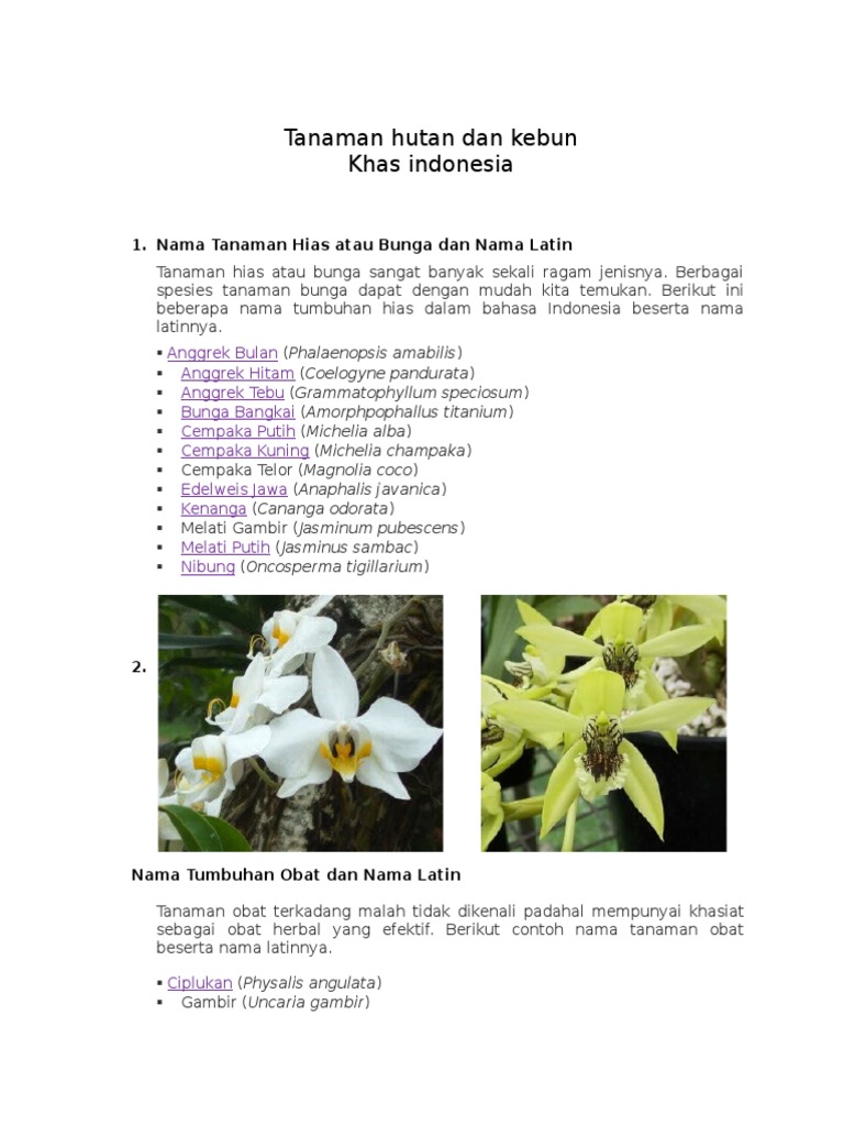 Daftar Nama Tumbuhan Hutan | PDF | Sains & Matematika