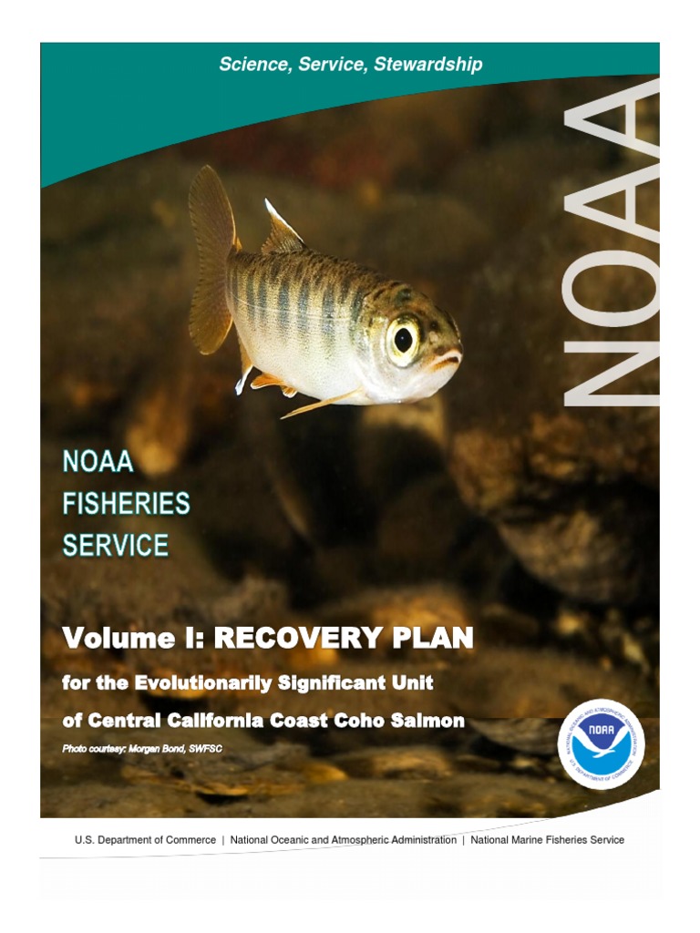 2012 Coho Salmon Recovery Plan Vol 1 | PDF | Salmon | Natural Environment