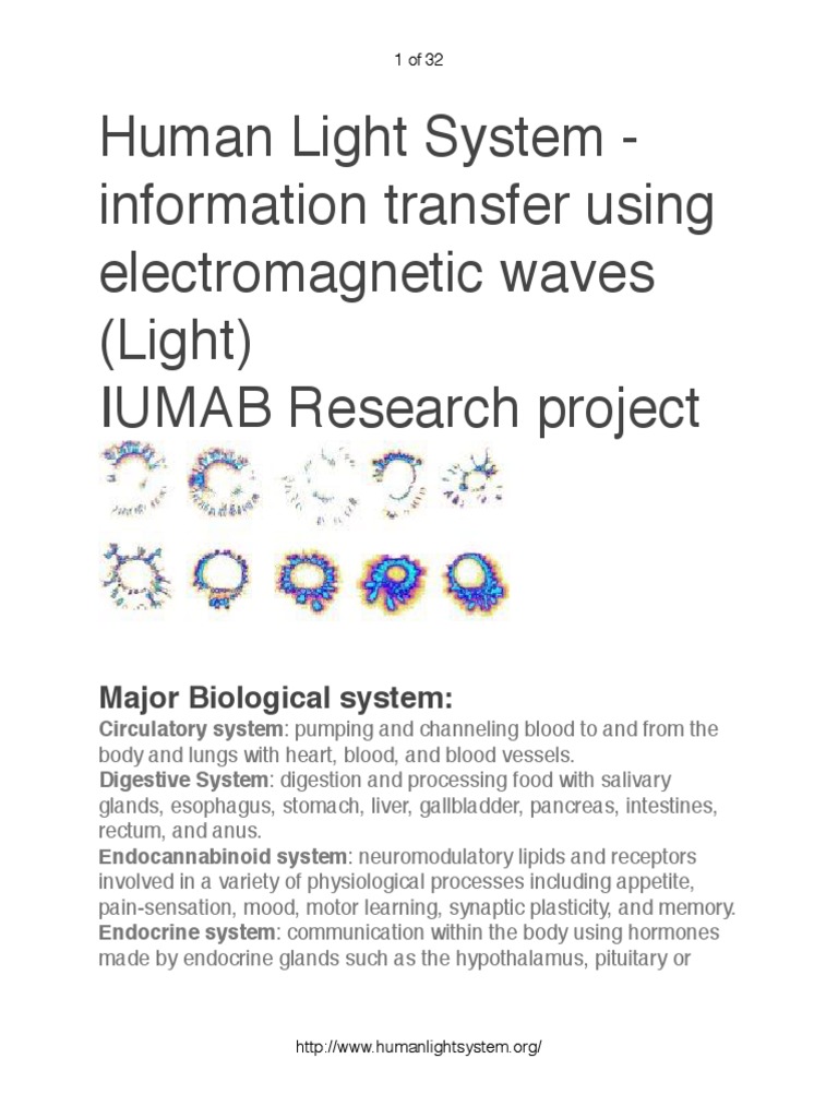 Human Light System | PDF | Meridian (Chinese Medicine) | Kundalini
