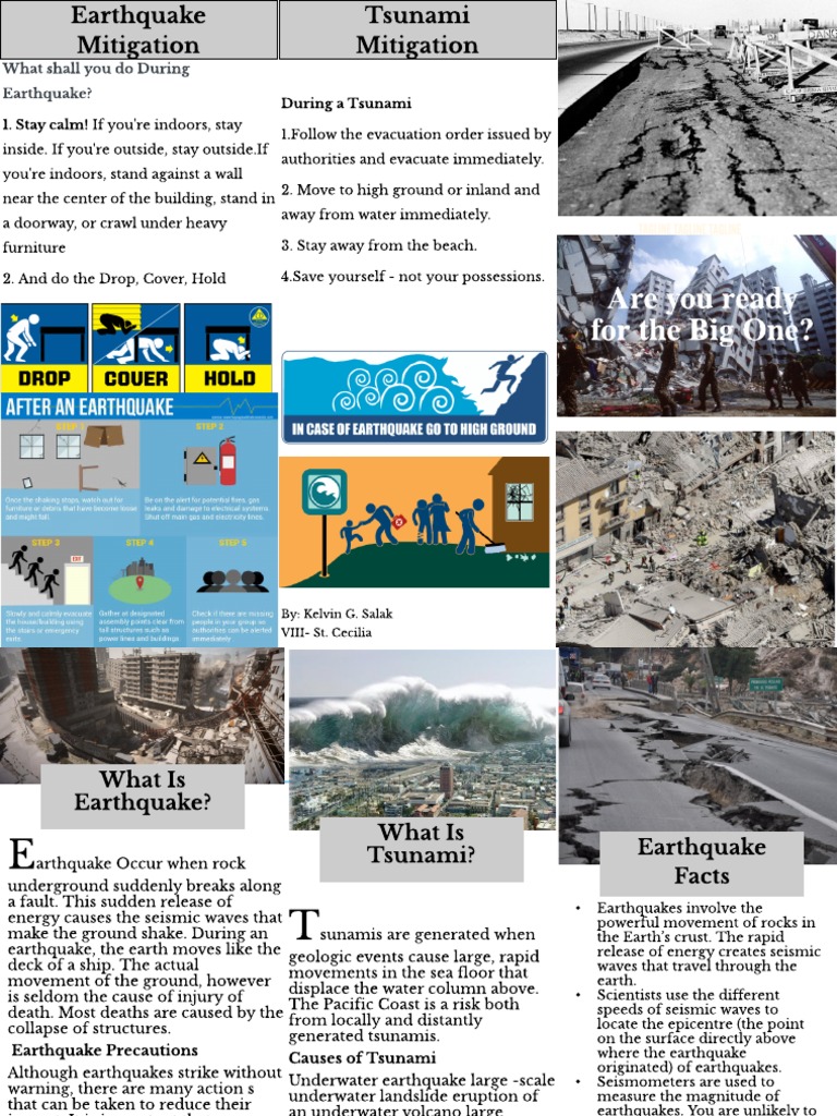 Earthquake and Tsunami Preparedness Guide | PDF