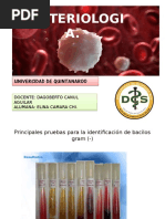 Medio MIO | PDF | Enzima | Química