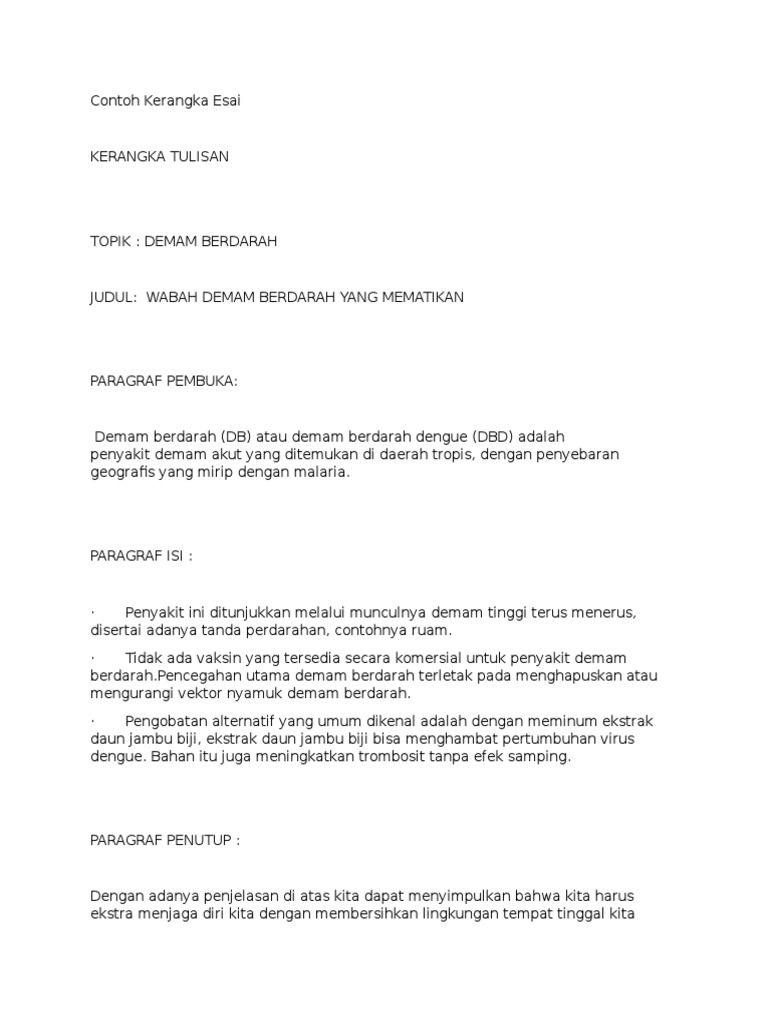Contoh Kerangka Esai | PDF