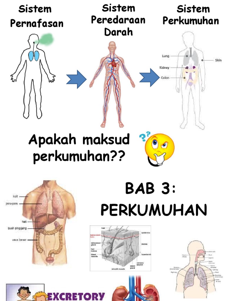 Bab 3 Perkumuhan | PDF