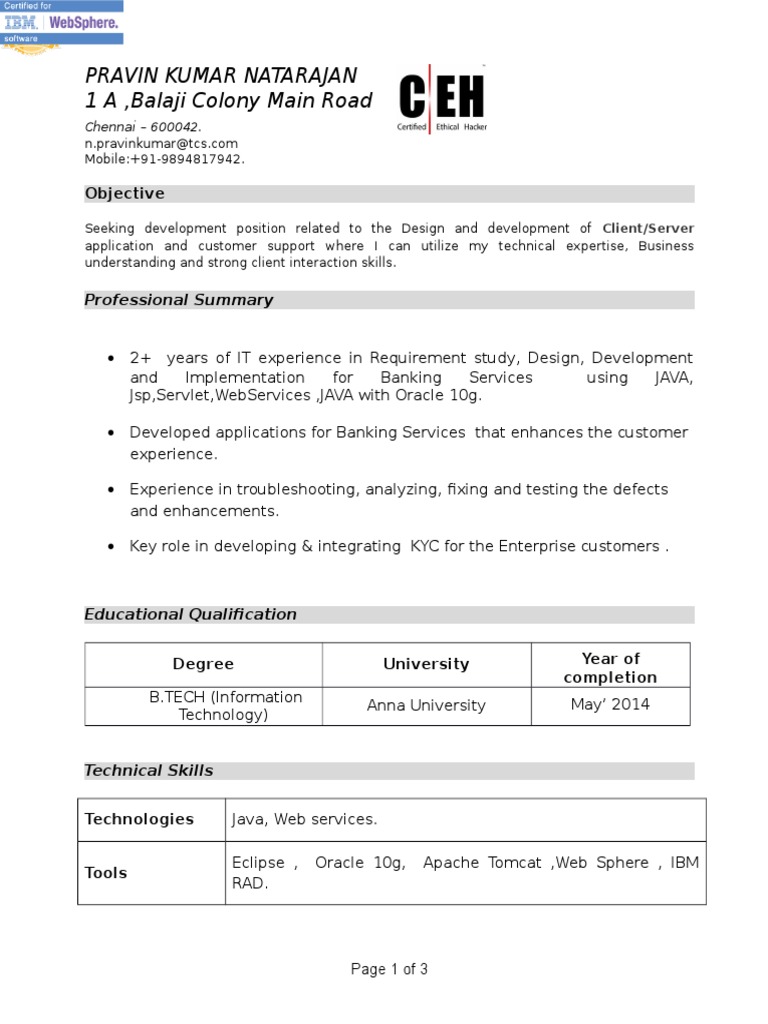 Pravin Resume - Odt | PDF | Java Server Pages | Java Platform