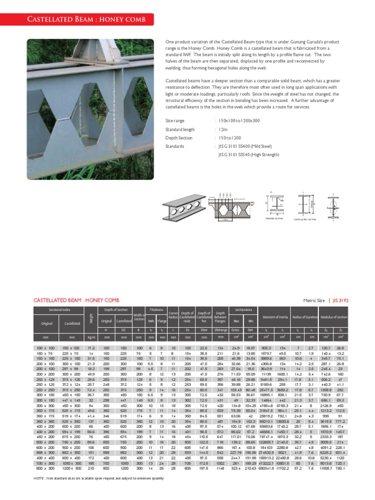 honeycomb.pdf | Beam (Structure) | Applied And Interdisciplinary Physics