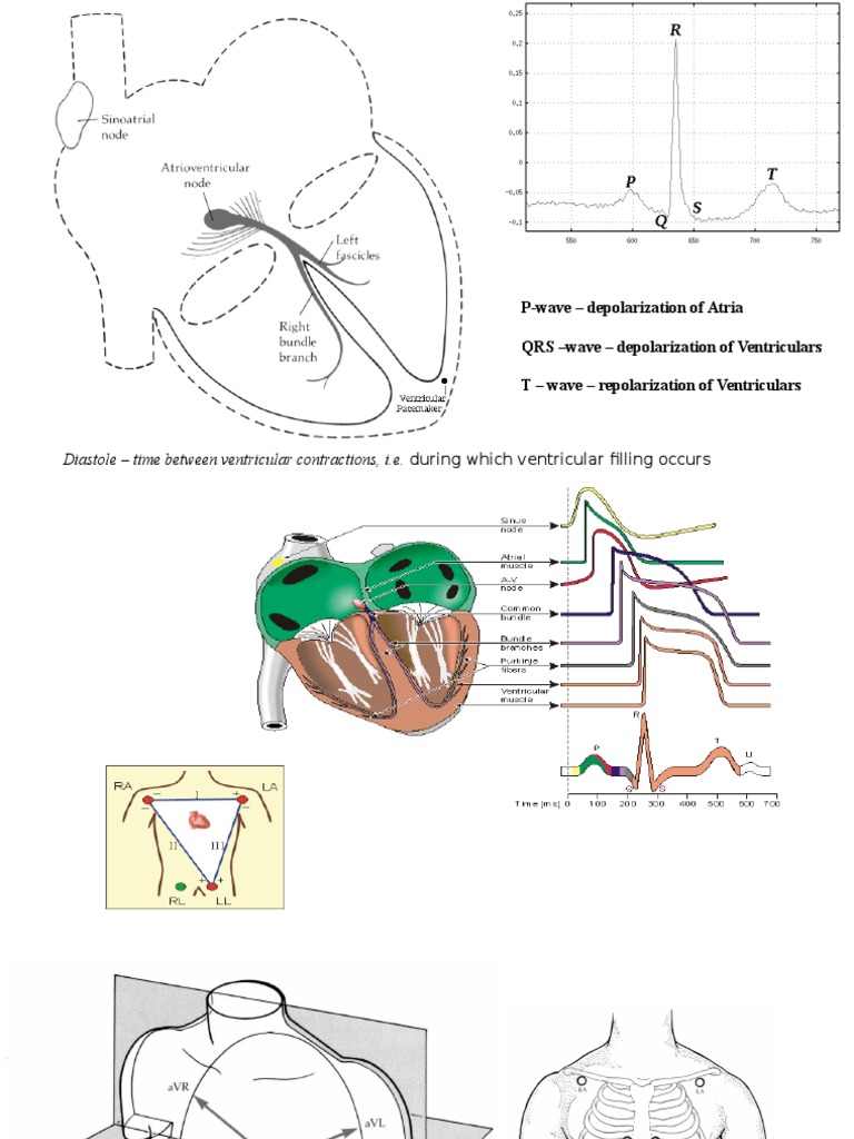 HRV Signal Processing - 1 | PDF