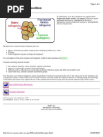Grain Chart PRINT | PDF | Rocks | Earth Sciences