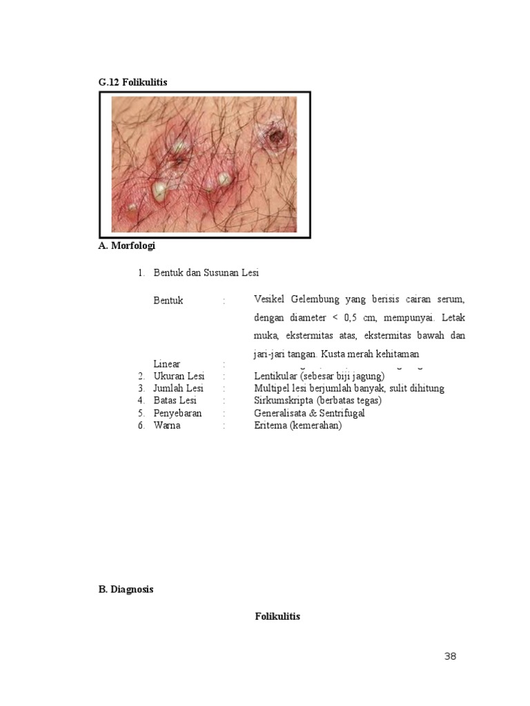 14.kelompok Merah (Folikulitis | PDF | Sains & Matematika