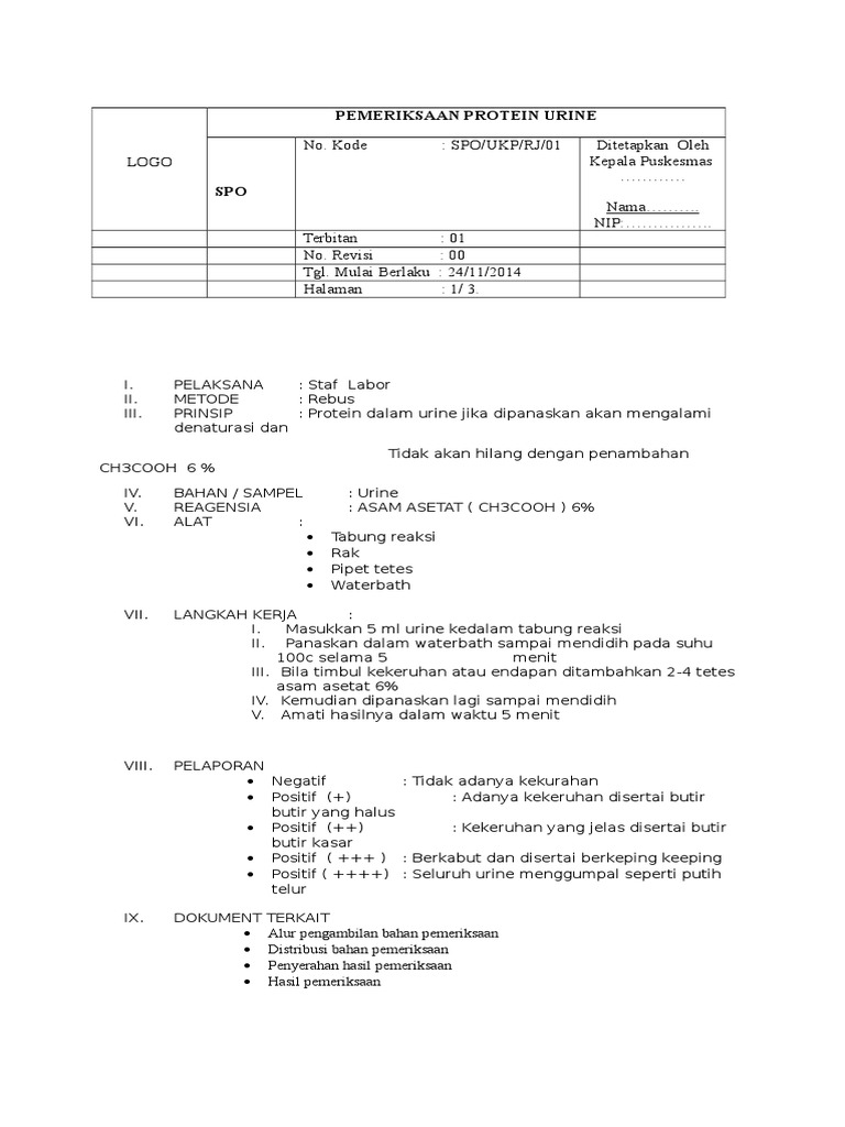 Pemeriksaan Protein Urine | PDF