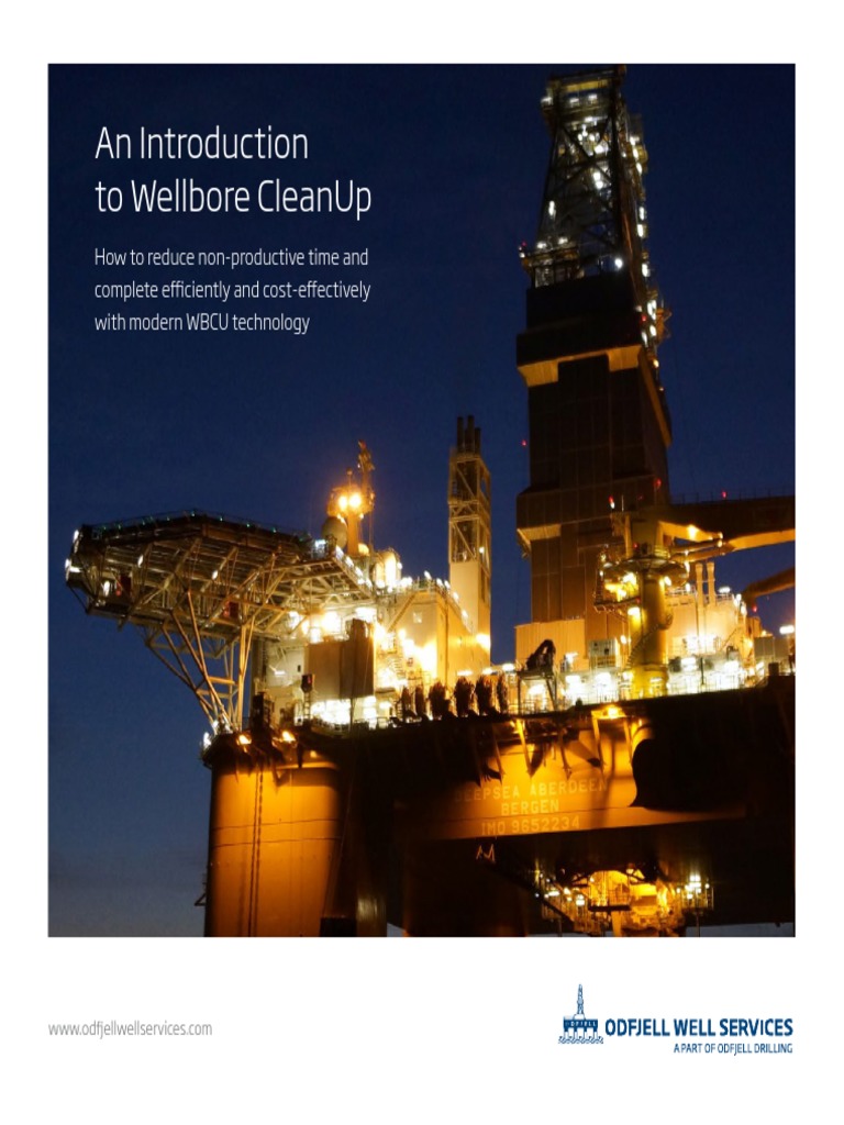 Wellbore Cleanup Solutions Overview | PDF | Oil Well | Drilling Rig
