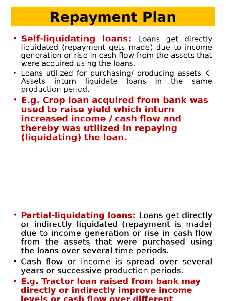 Repayment Plan: - Self-Liquidating Loans | PDF | Loans | Amortization ...
