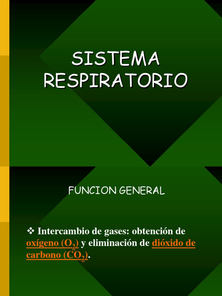 Clase 17 Sistema Respiratorio PDF | PDF | Ciencia y matemática Clase 17 Sistema Respiratorio PDF | PDF | Ciencia y matemática