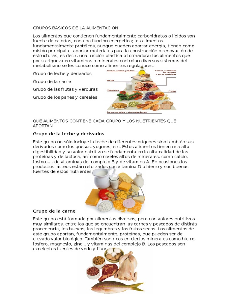 Grupos Basicos de La Alimentacion | Nutrientes | Alimentos