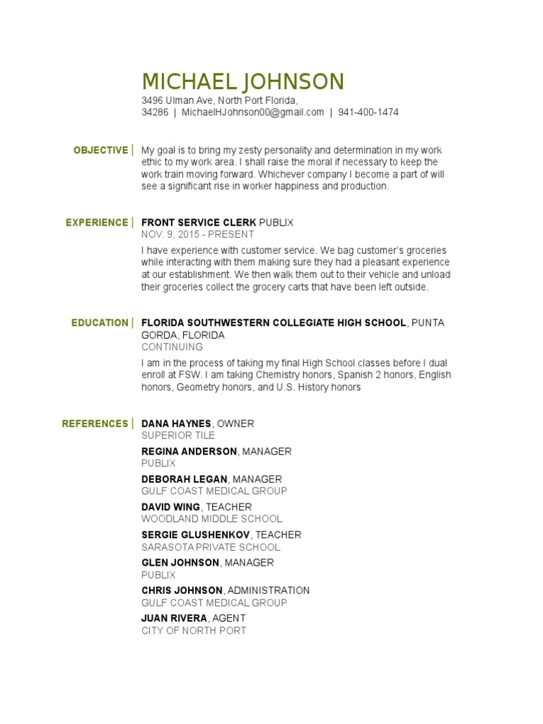 Michaels Resume | PDF