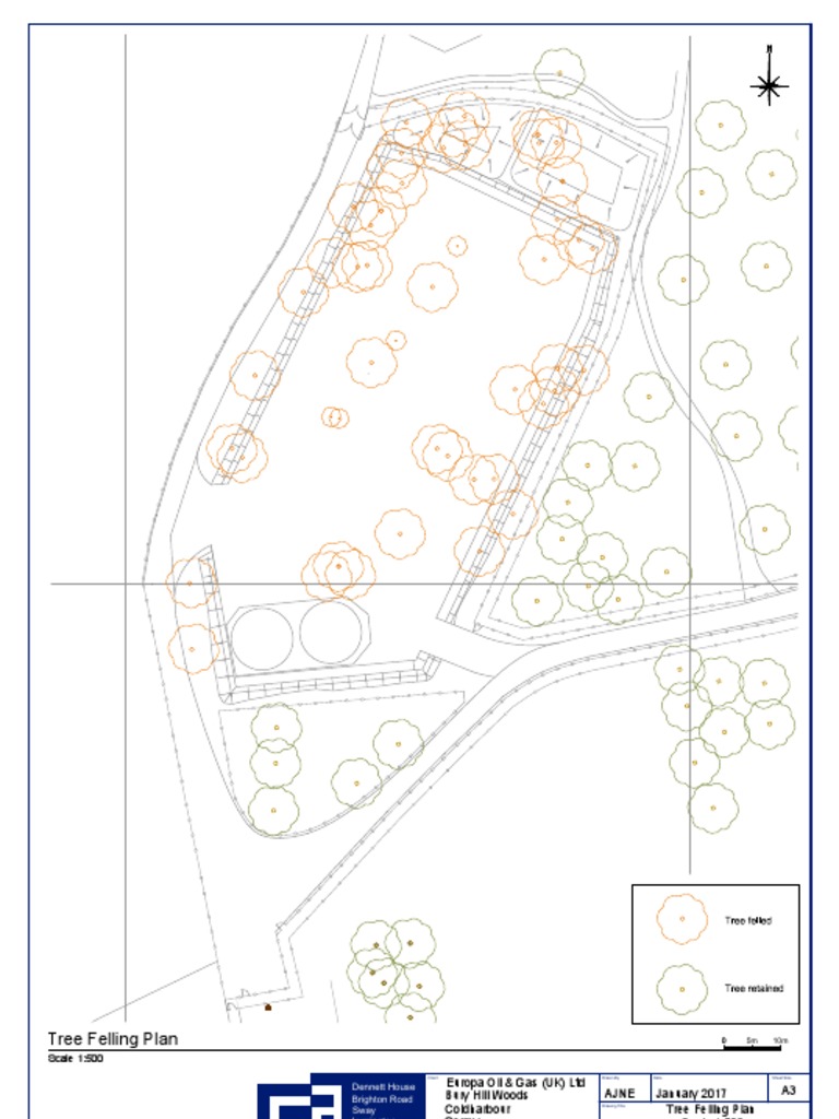 Tree Felling Plan | PDF