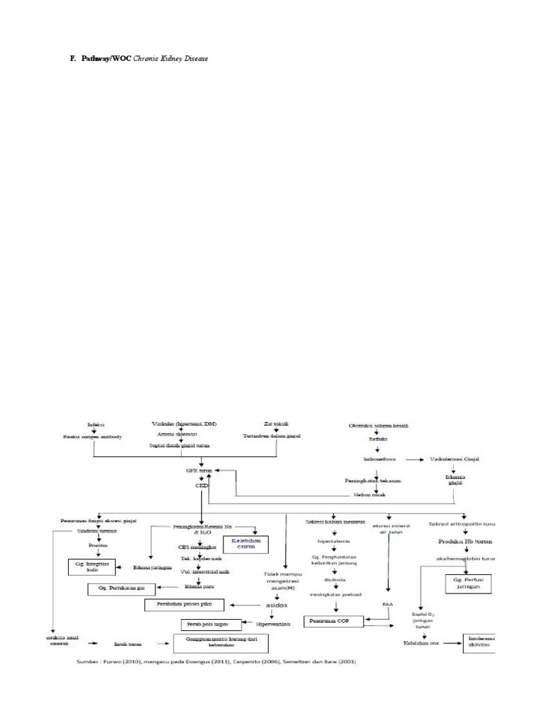 Chronic Kidney Disease Pathway Guide | PDF | Internal Medicine ...